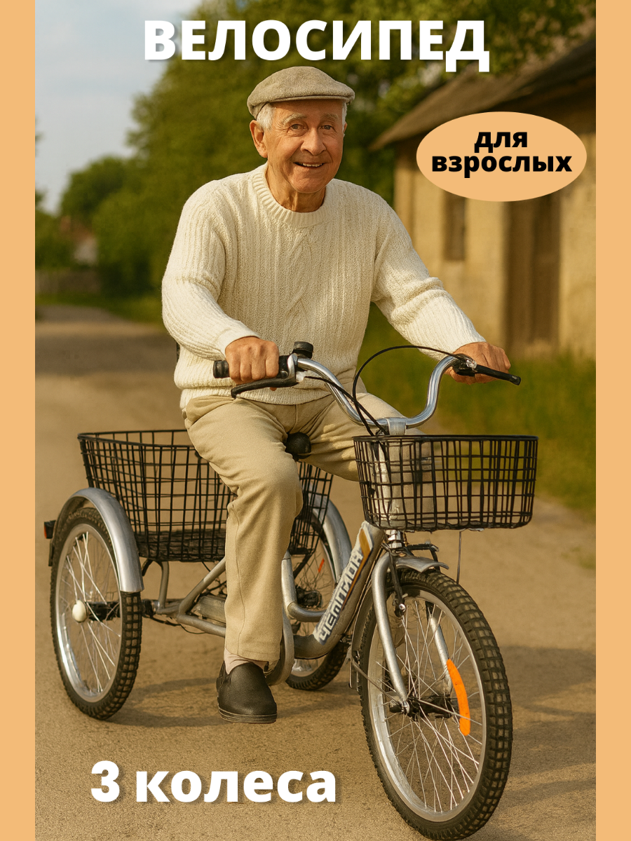 Трехколесный велосипед для взрослых N20 седло со Спинкой серебро