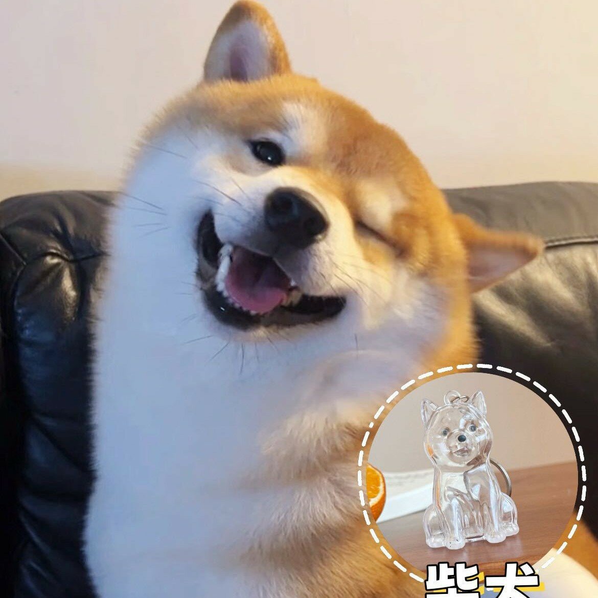 Производитель источника, многофункциональная коробка для хранения тестовых бумаг, прозрачная коробка для игрушек для кошек и собак, пылезащитная подвесная декоративная коробка