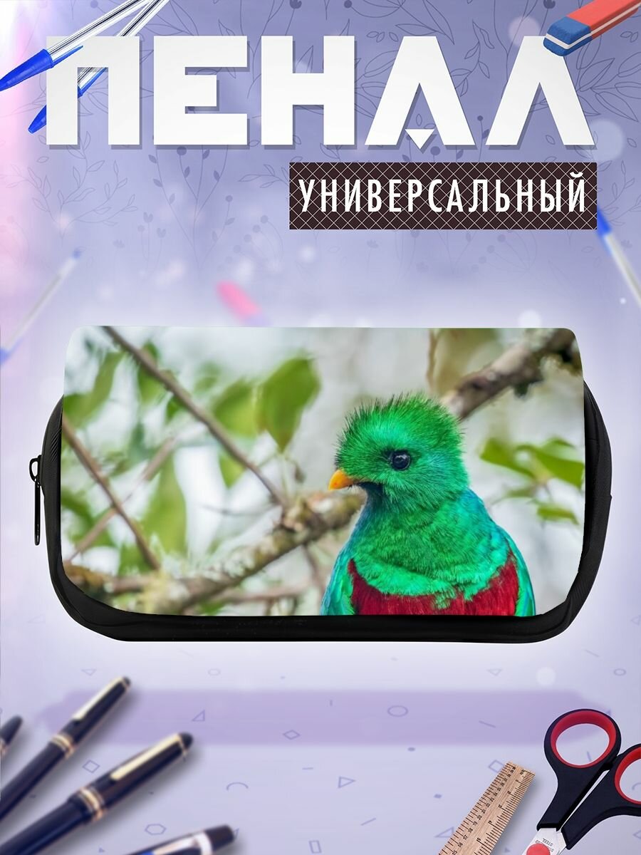 Школьный пенал Блистательный Кетсаль Кетцаль