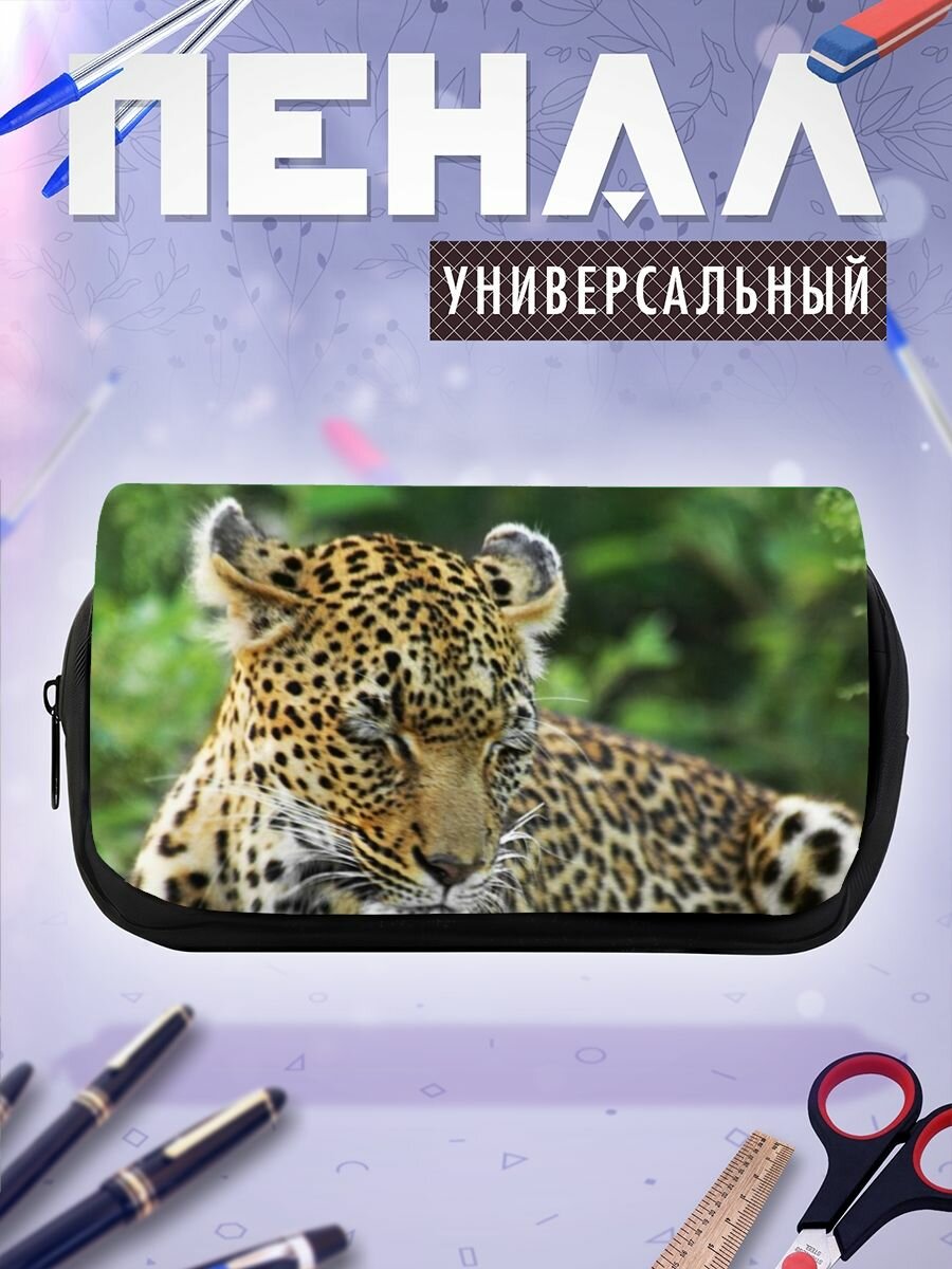 Школьный пенал национальный парк Крюгера Лев
