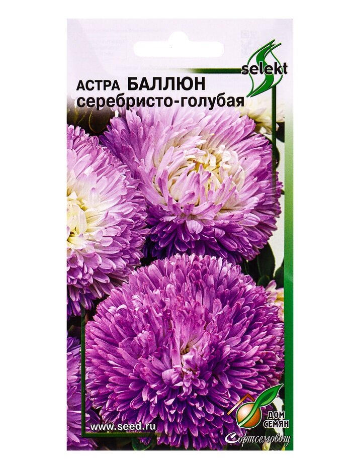 Семена цветов Астра Баллюн серебристо-голубая 30 шт 10965515