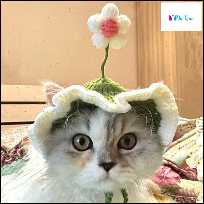 Одежда для животных — фото 1