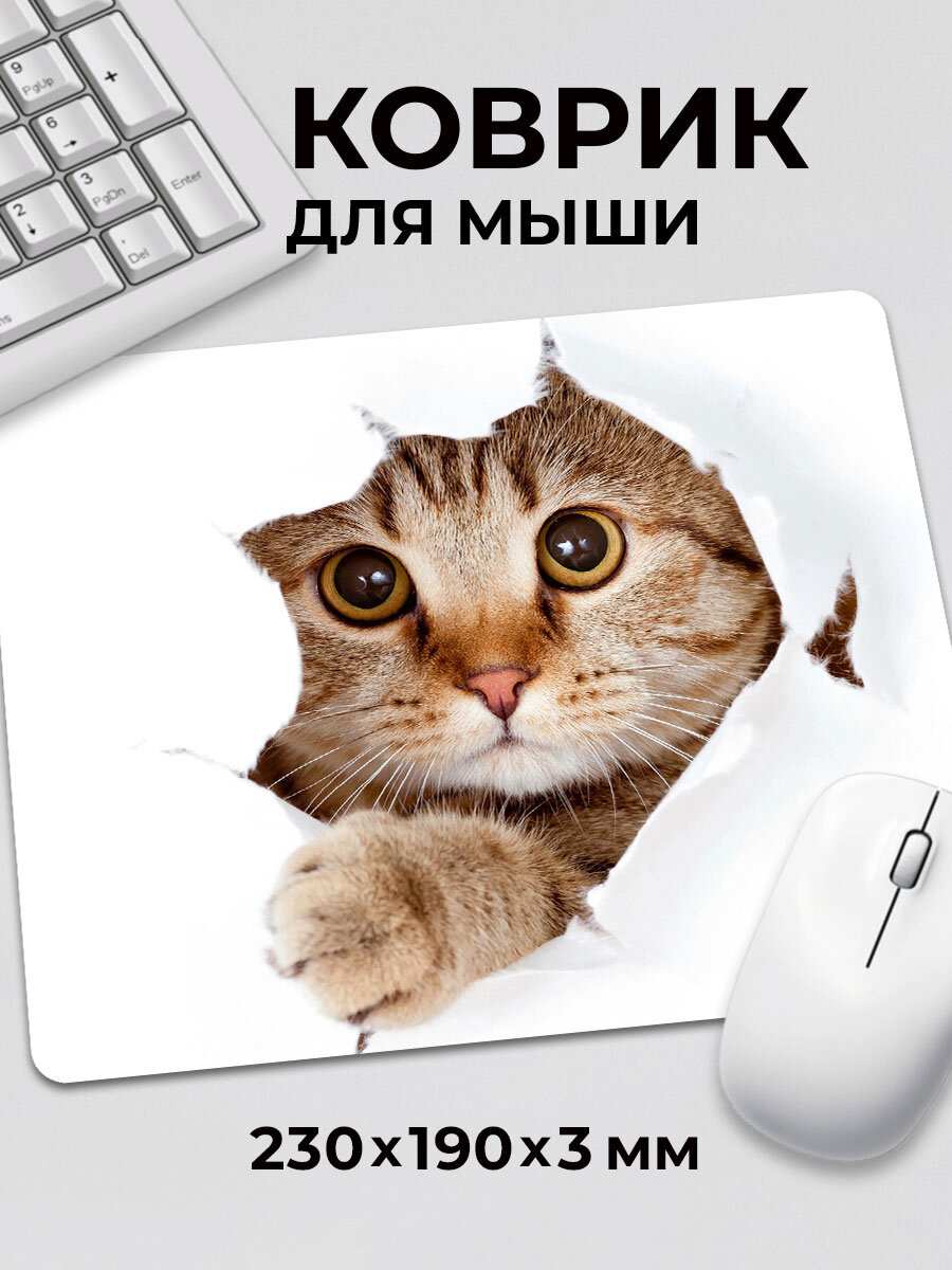 Коврик для мышки Котик выглядывает из коврика