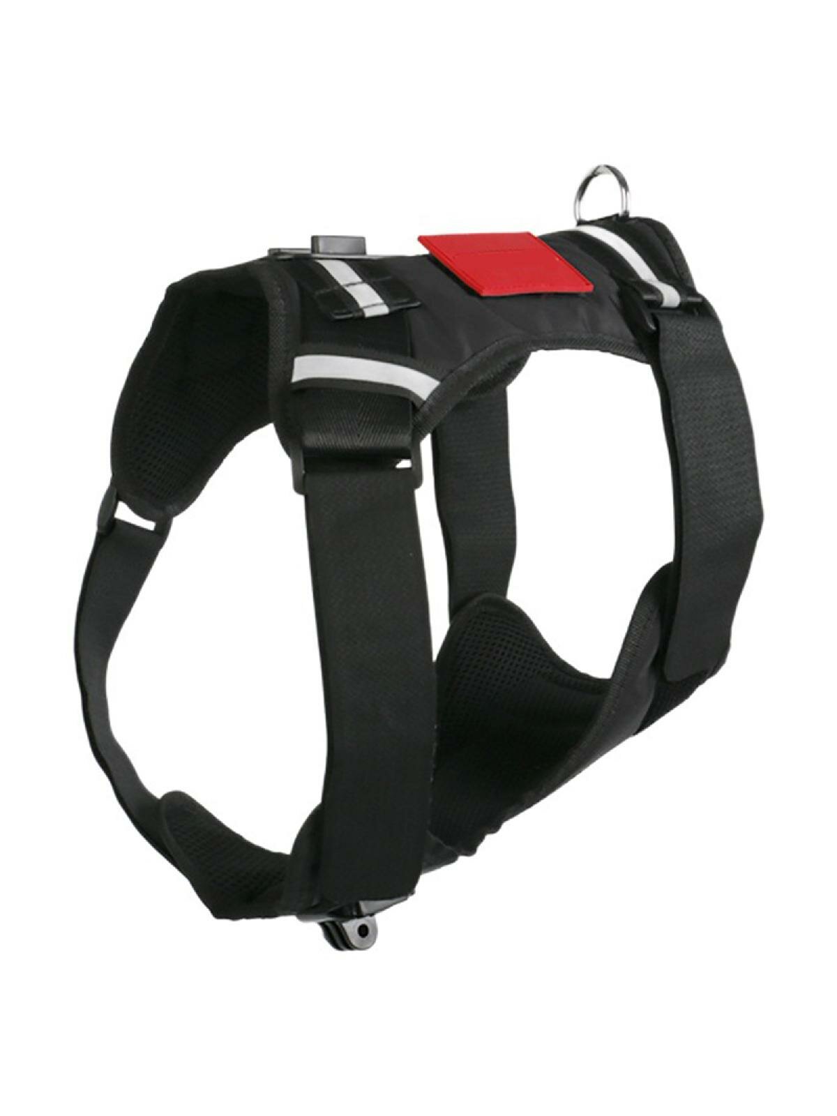 Первый ракурс фотосъемки домашних животных - кронштейн для собачьей стропы подходит для съемки 360GoPro