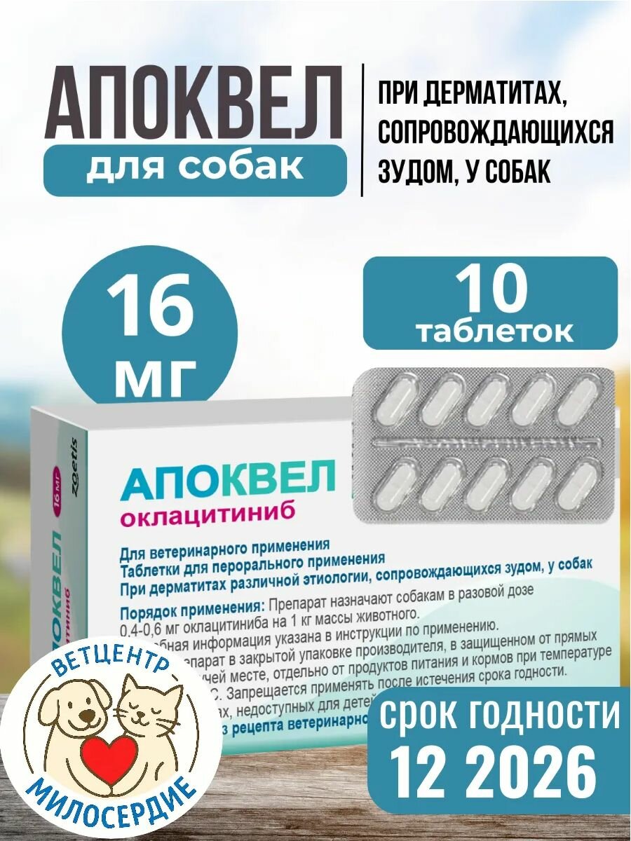 Апоквел 16 мг 10 таблеток один блистер Срок годности 02-2027