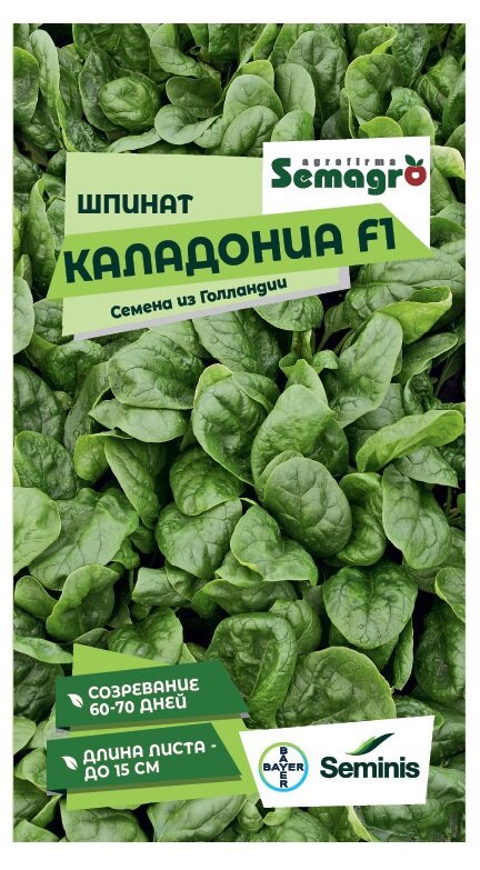 Семена овощей Seminis шпинат Каледония, для дачи, сада, огорода и на рассаду