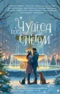 Книга "Чудеса под снегом. Рассказы о любви и волшебстве в большом городе"