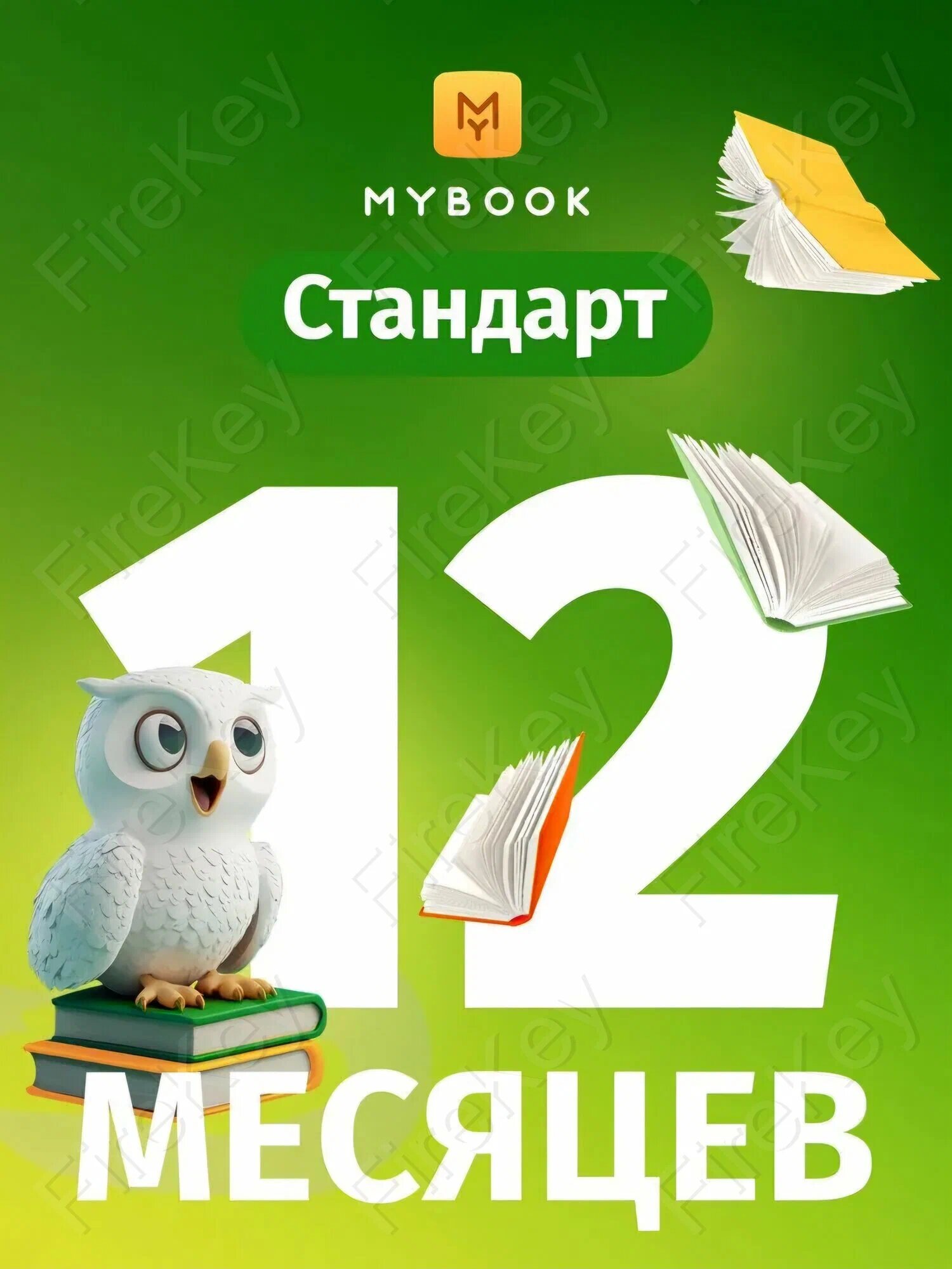 Подписка на книги Mybook Стандарт - 12 месяцев (цифровой код/электронный ключ)