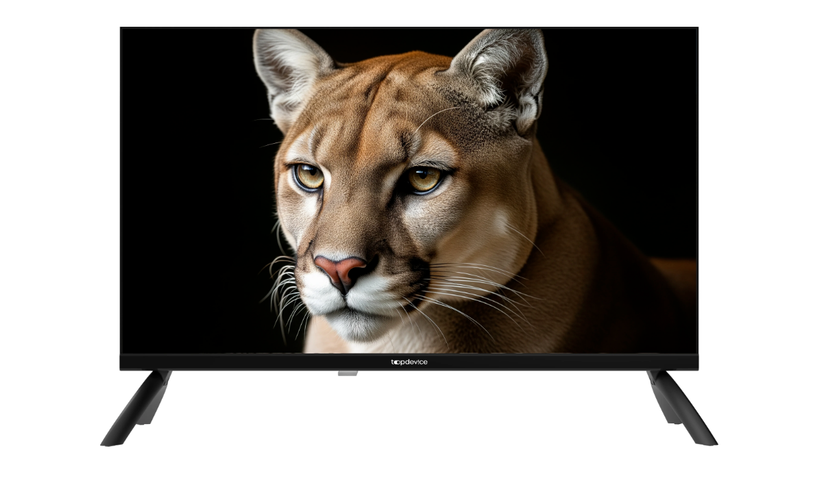 Телевизор TopDevice TDWC24BH1000I