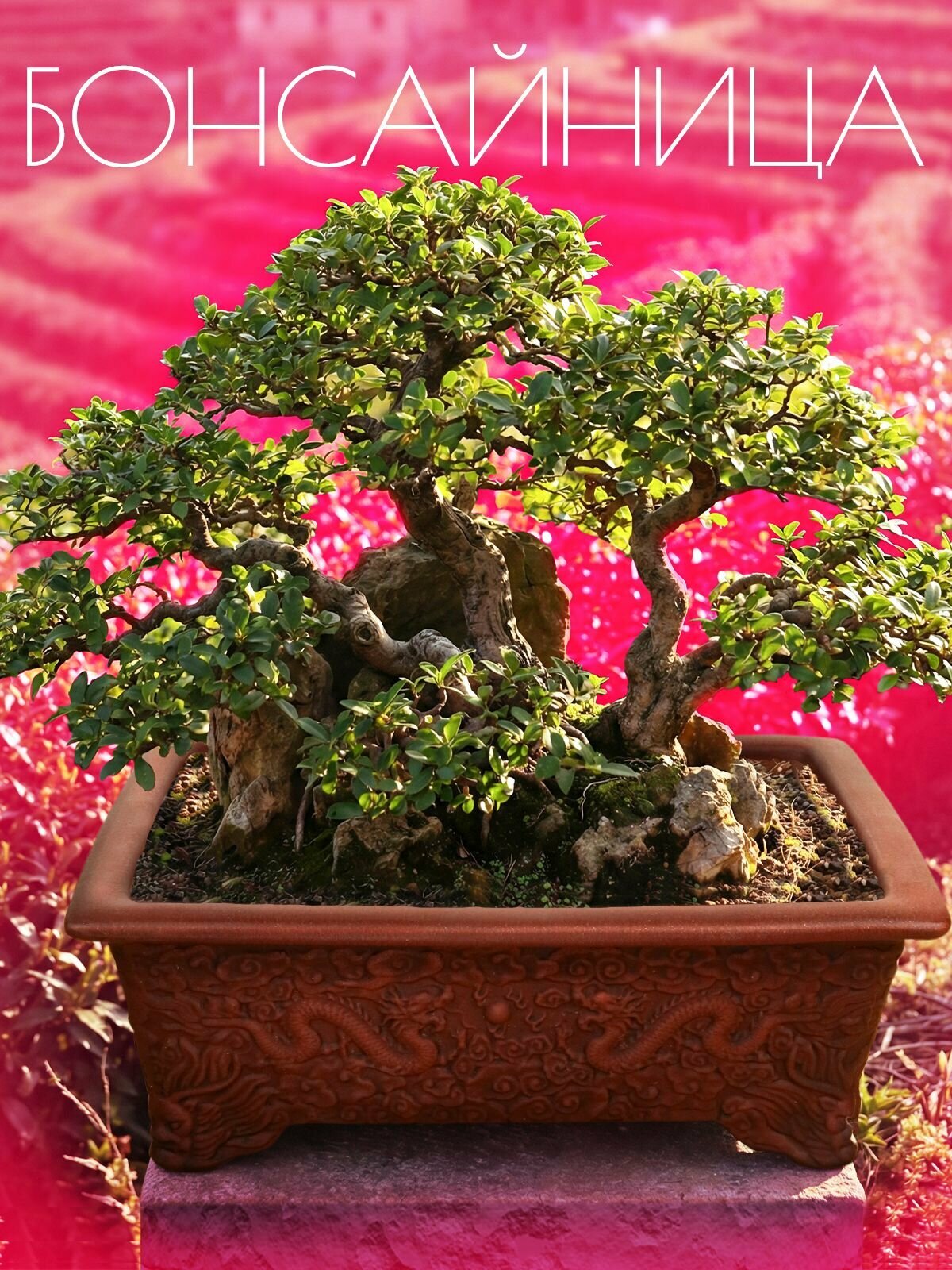 Керамический горшок для бонсай и цветов 25,5х18,5х9 см из исинской глины