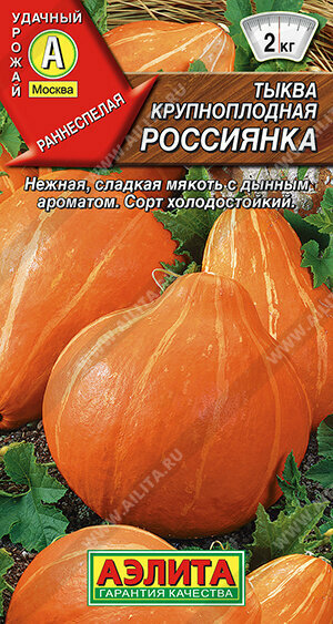 Семена тыквы аэлита "Россиянка", крупноплодный, однолетний сорт, лежкий, до 4 кг