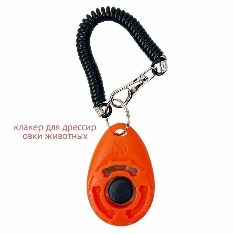 Обучающий кликер для дрессировки животных