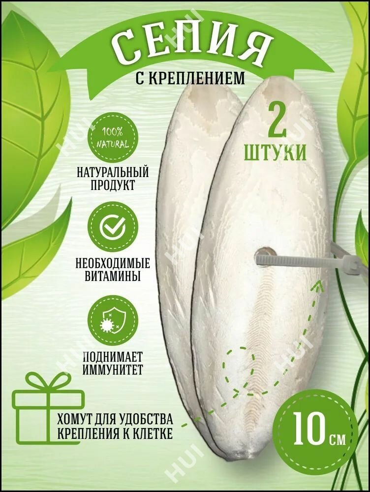 Сепия 10 см 2 штуки панцирь каракатицы для попугаев, корм для птиц