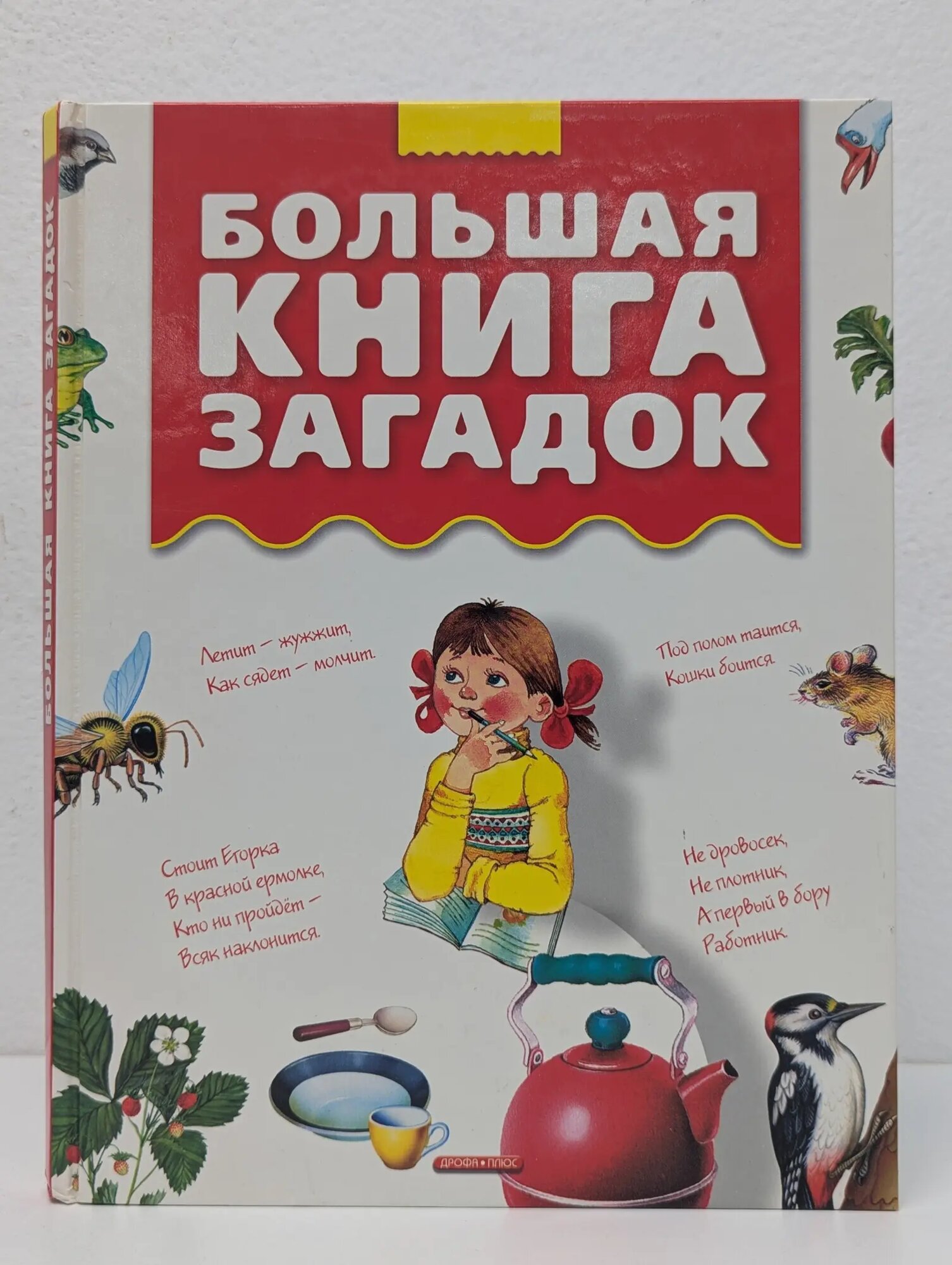 Большая книга загадок Сборник 2008