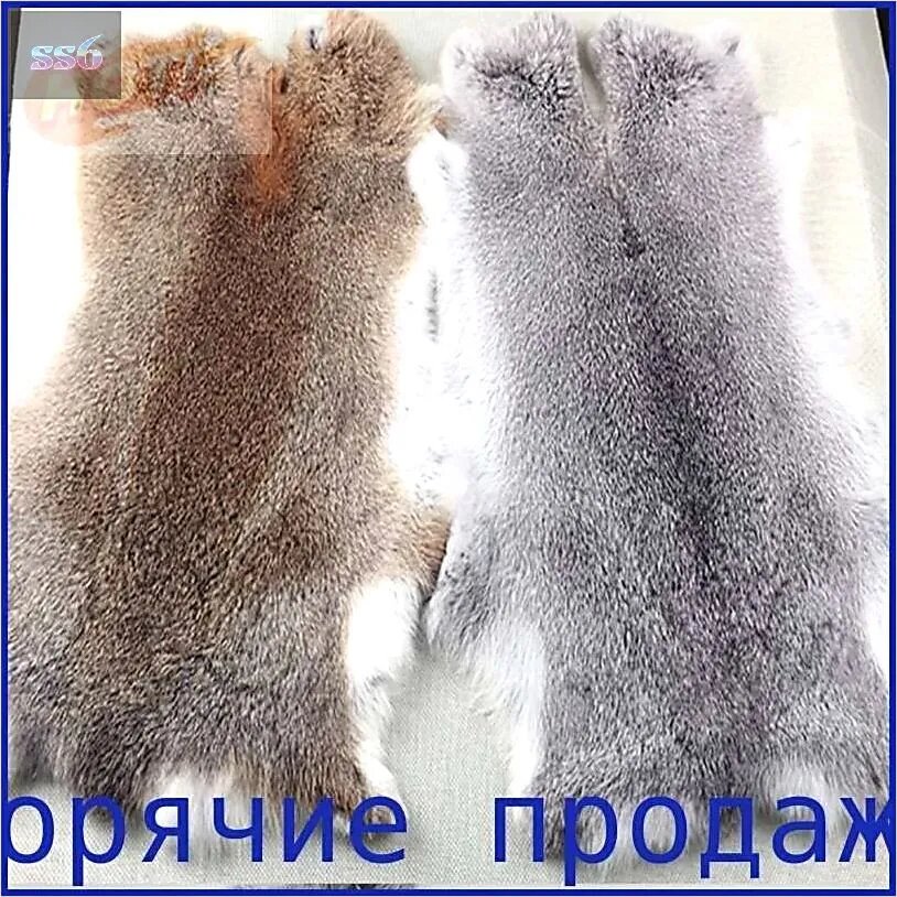 Шкура 0.42х0.28 м — фото 1