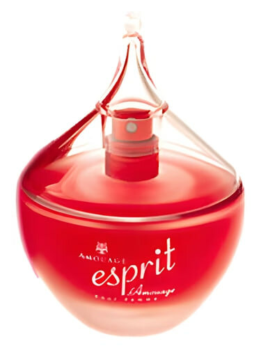 Amouage Esprit d'Amouage туалетная вода женская 75 мл восточный цветочный аромат 2004 — фото 1