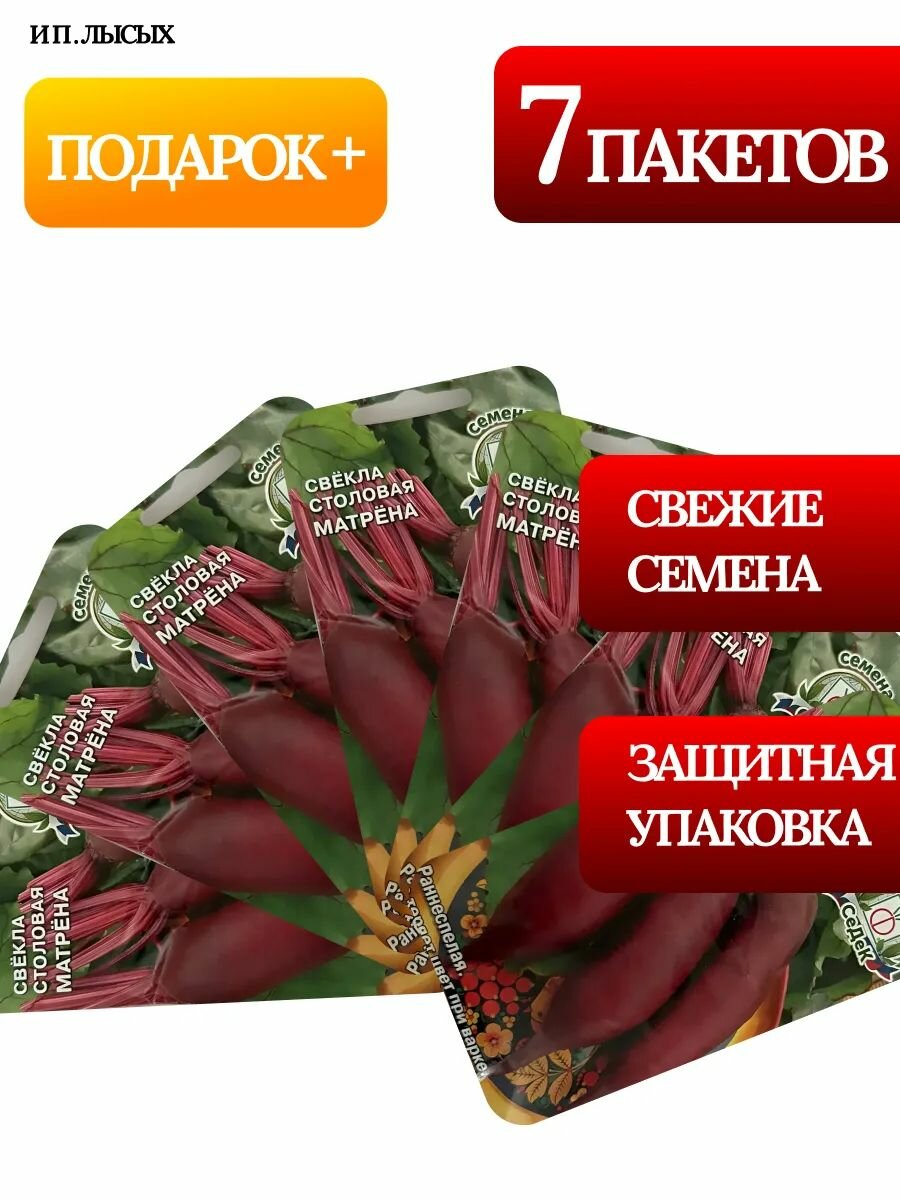 Семена Свекла "Матрена"