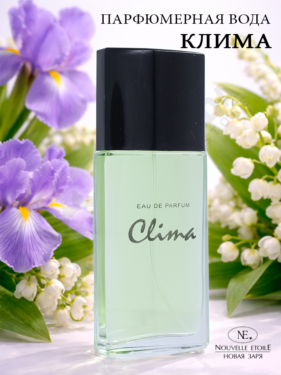 Парфюмерная вода Новая Заря "Клима", женская, восточный аромат, 50мл