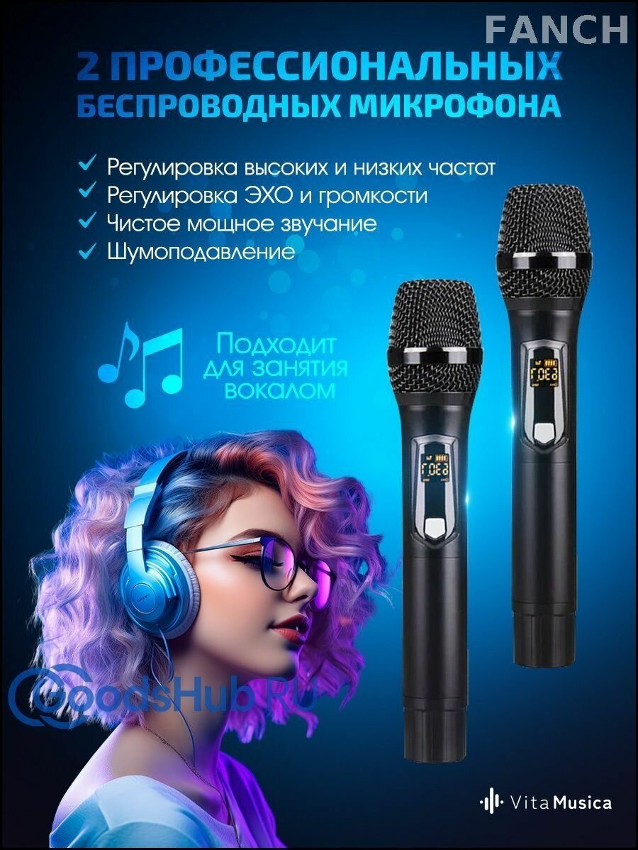 Караоке-система — фото 1