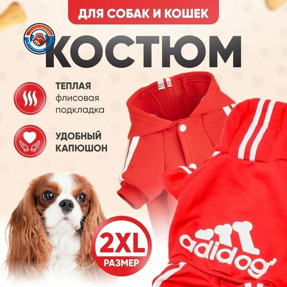Спортивная толстовка с капюшоном для собак и кошек, всесезонная защита от холода и ветра, яркие цвета, стильная