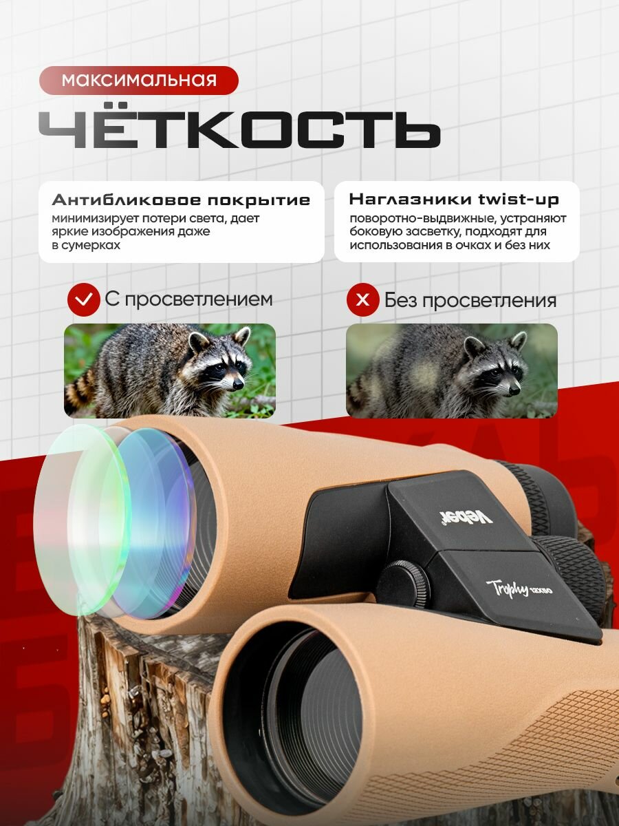 Бинокль Veber Trophy 12х50 — фото 1