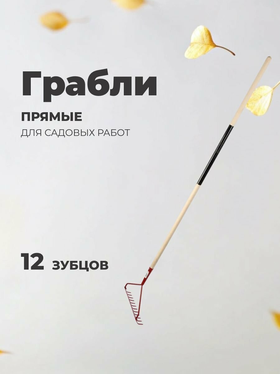Грабли садовые прямые металлические 12 зубцов, с черенком, Россия