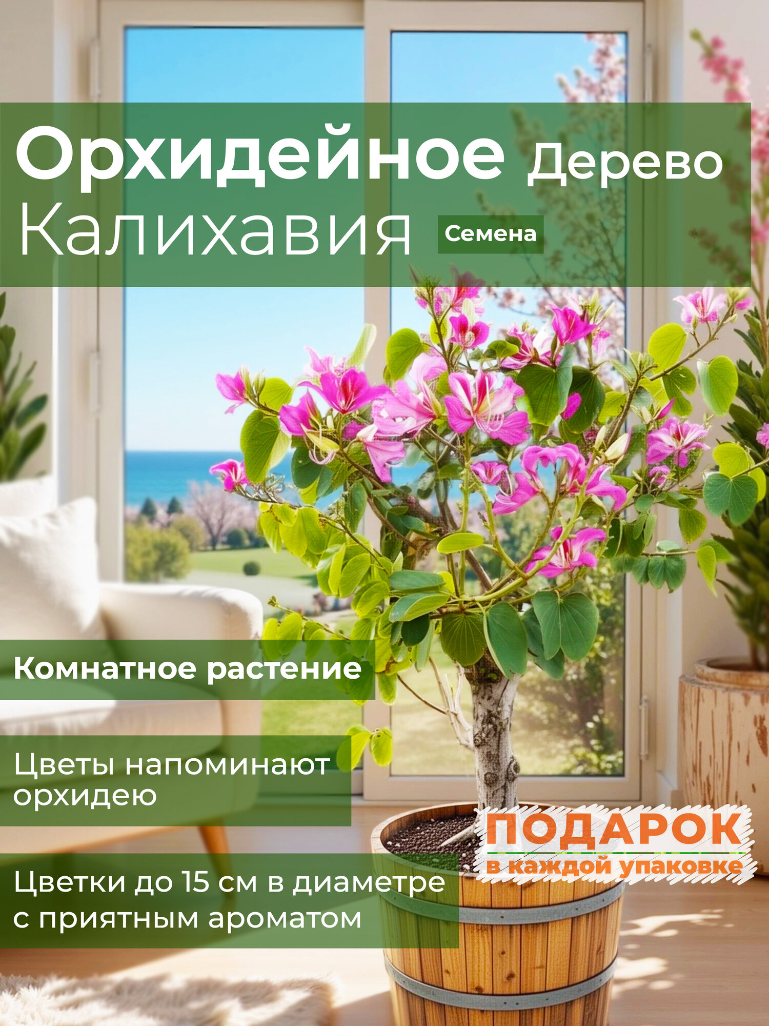 Орхидейное дерево Калихавия (Баухиния), Семена, 5 шт, семена экзотических растений