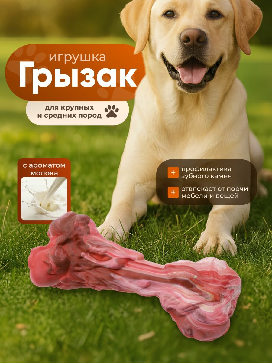 Игрушка для собак крупных пород кость прочная SSY