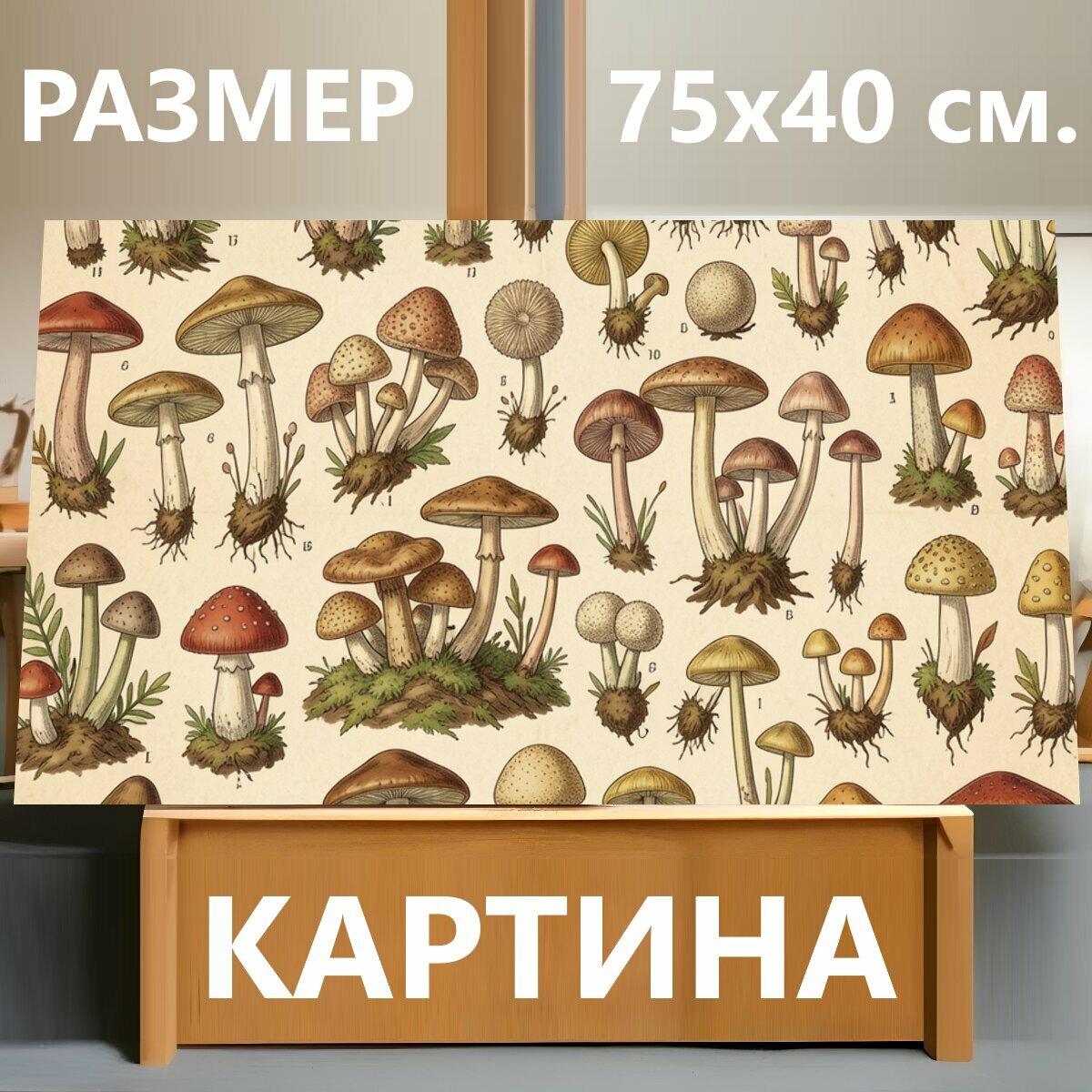 Картина на холсте "Ботаническая коллекция грибов. Старинные научные иллюстрации лесных грибов разных форм и оттенков на винтажном бежевом фоне." на подрамнике 75х40 см. для интерьера