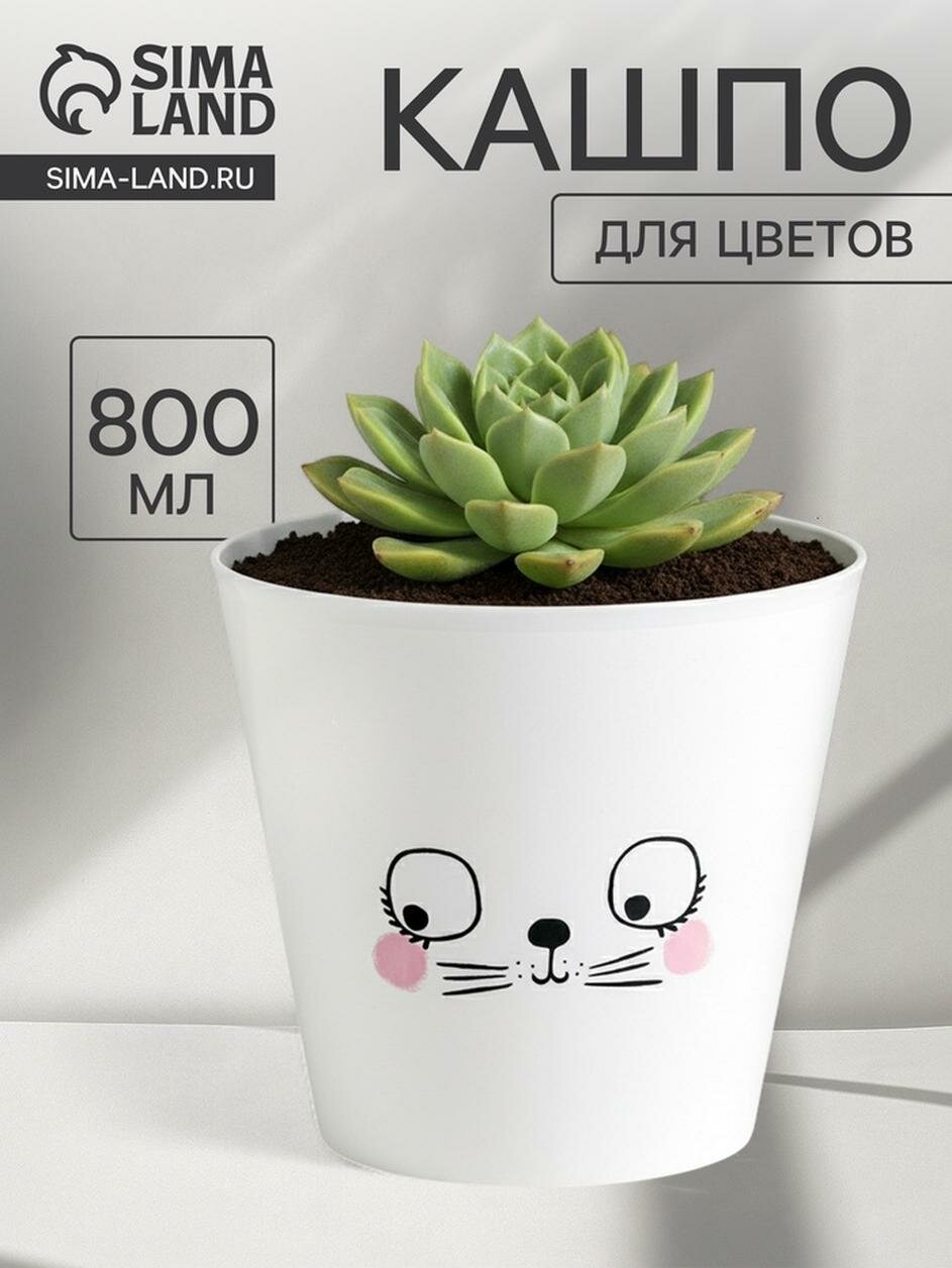 Кашпо для цветов «Мордочка», 800 мл, d=12 см, h=11 см, пластиковое