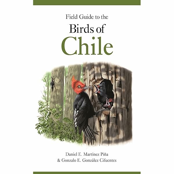 Field Guide to the Birds of Chile，Reprinted paperback book
