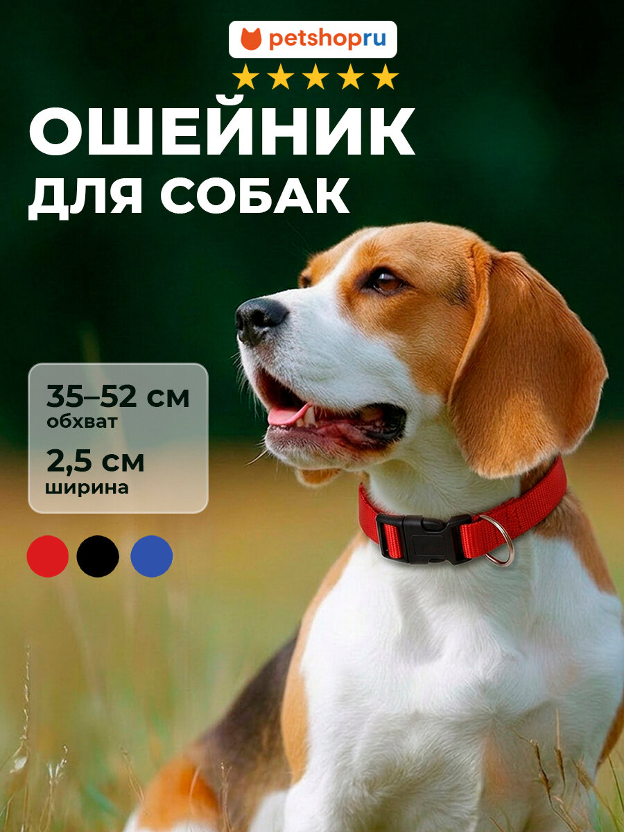 PETSHOP Ошейник для собак "Бизи", 35-52*2,5 см, черный