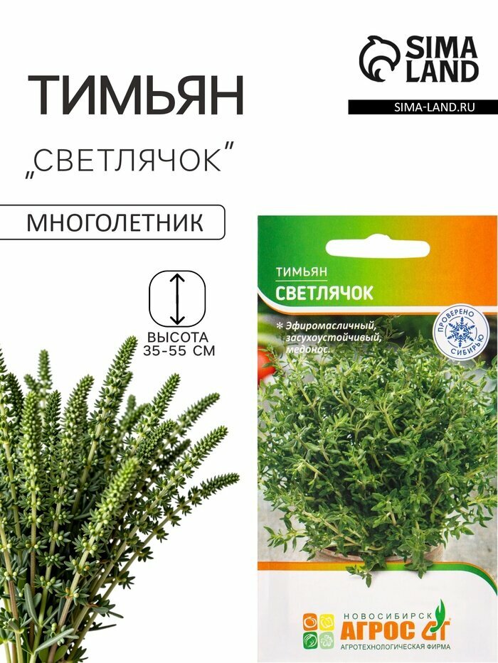 Семена Тимьян «Светлячок» 0.5 г, «Агросс»
