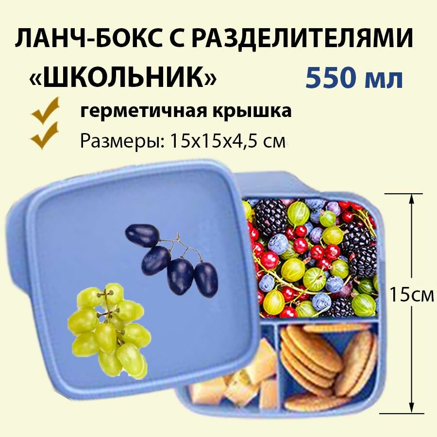 Tupperware Контейнер Ланч герметичный с отсеками 550 мл, для еды, в школу и офис