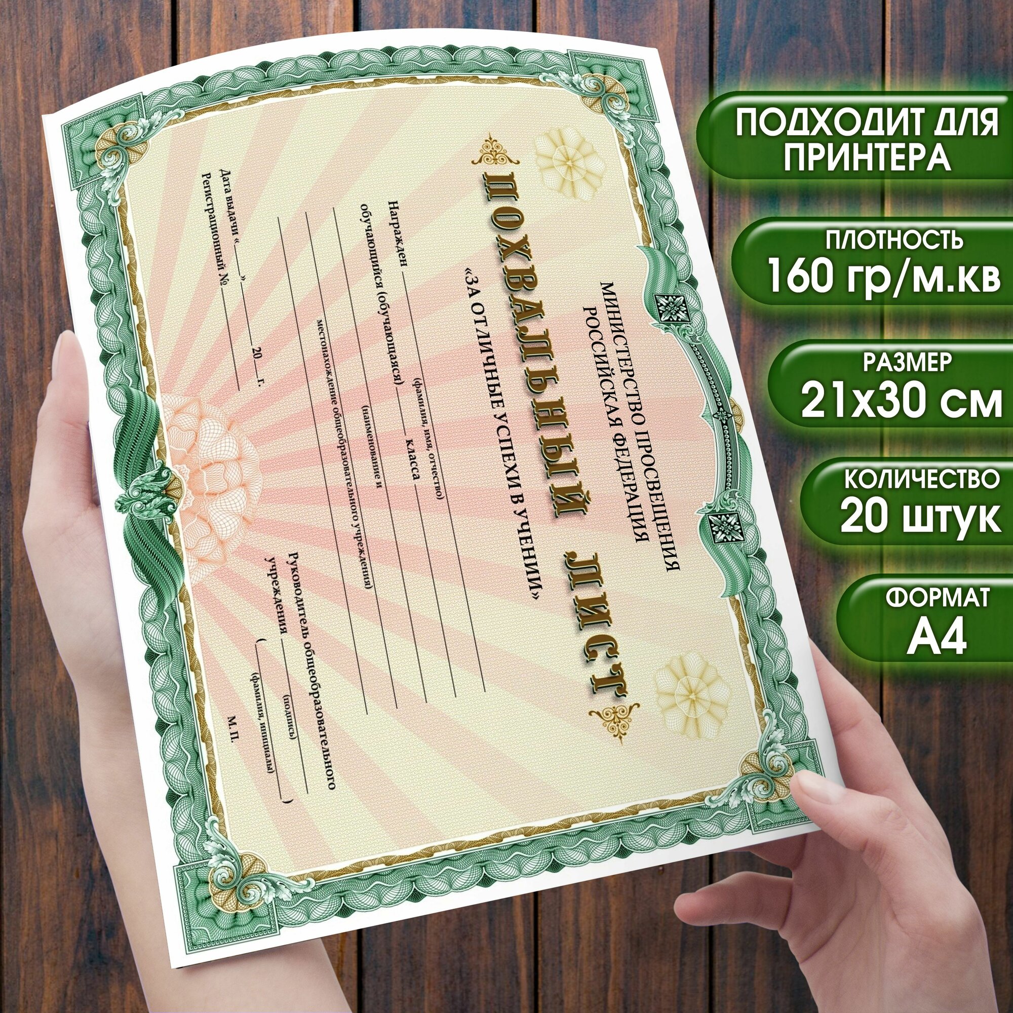 Похвальный лист с названием министерства. Набор 20 штук. Размер 21х30 см. (формат А4) Для принтера или рукописного заполнения. Похвальный бланк.