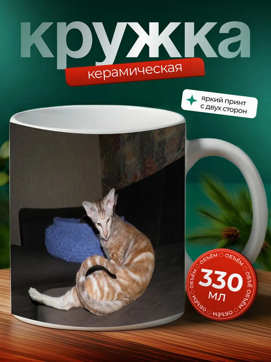 Кружка Маврикийский коралл кот 39,
