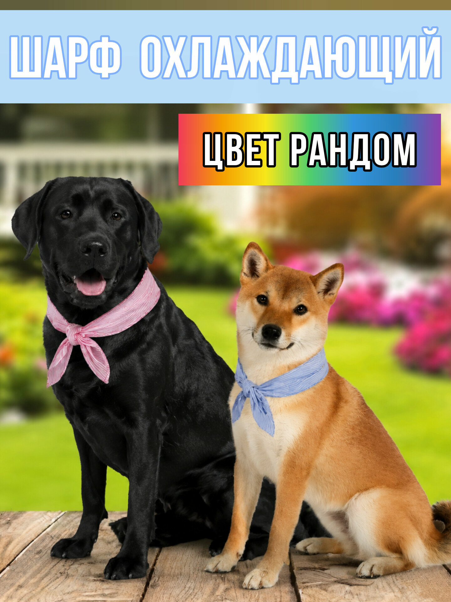 Охлаждающий шарф MyPet-MyFriend для собак, набор из 3 штук, цвет рандом