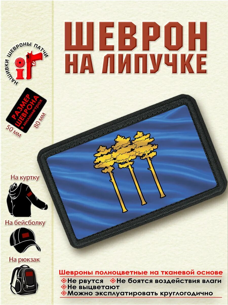Шеврон "Флаг города Димитровград" dtf