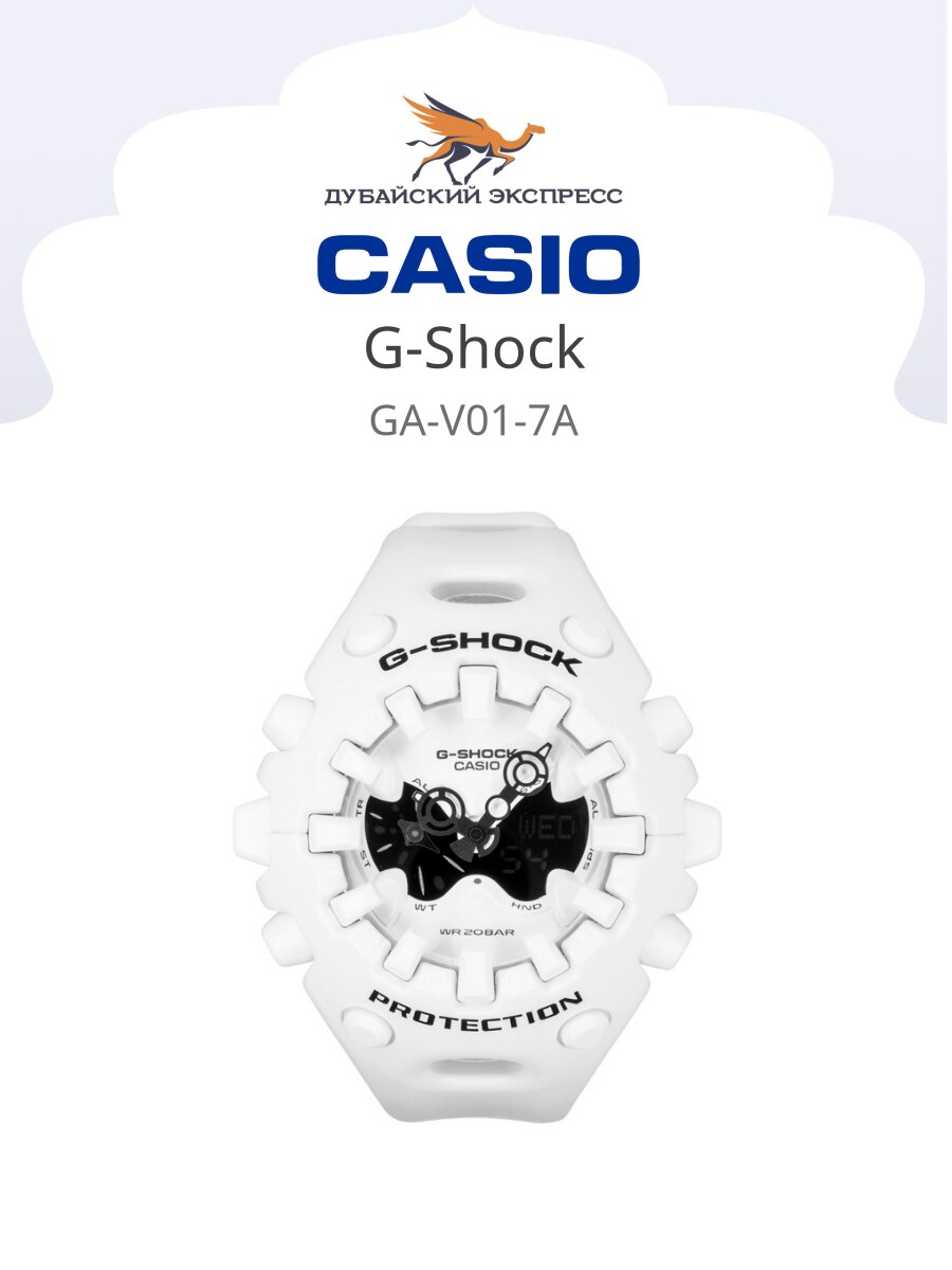  CASIO