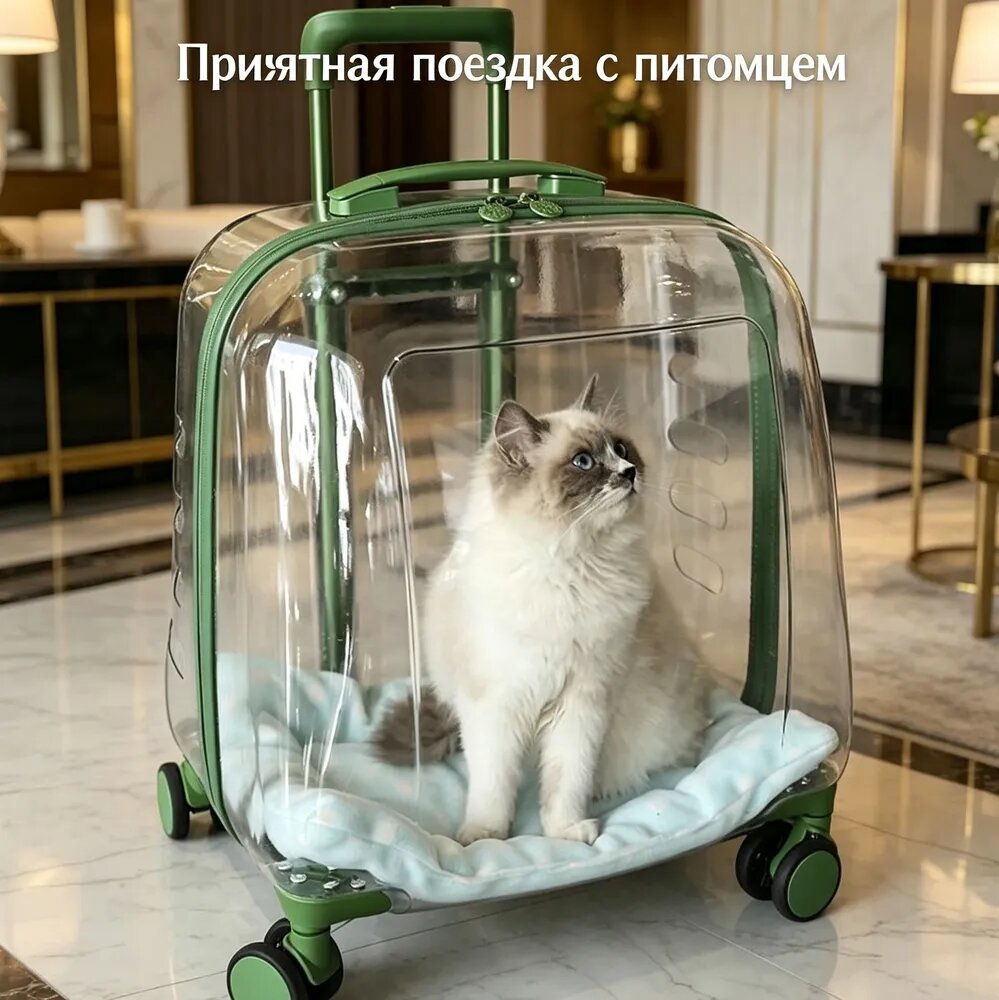 Переноска для кошек пластиковая , Кошачий чемодан, Прозрачный цвет