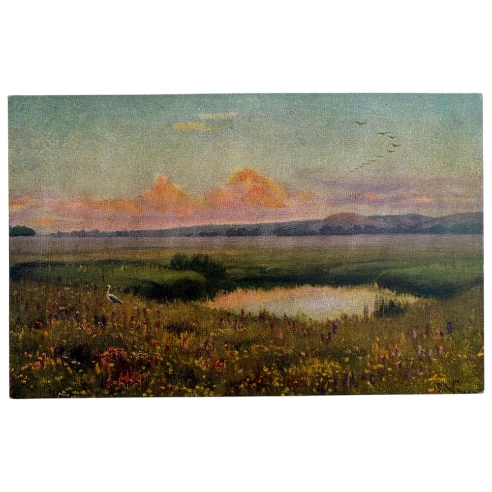 Почтовая открытка "Вржещ - Болото" 1900-1917 гг. Российская Империя