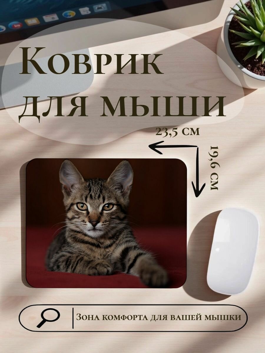 Коврик для мыши серый полосатый котенок