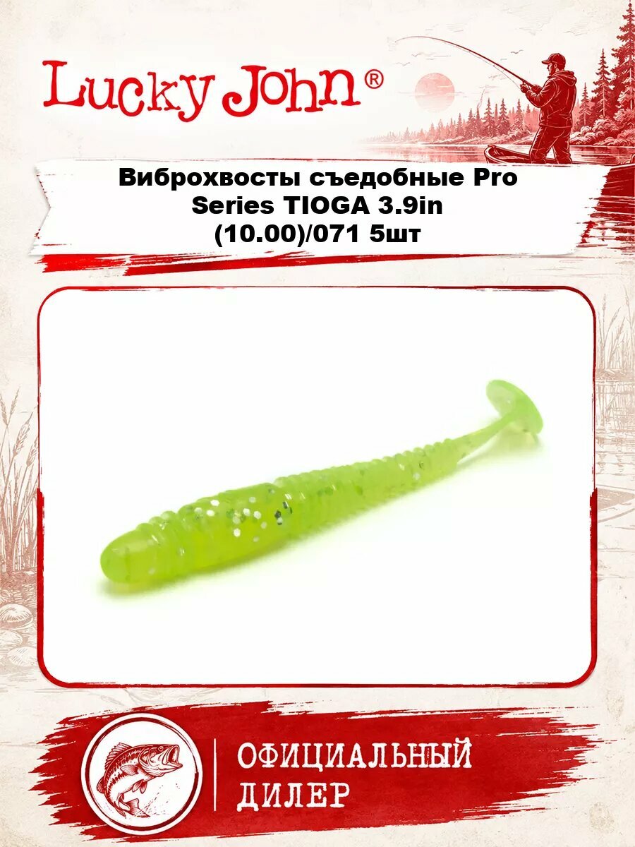 Виброхвосты съедобные LJ Pro Series TIOGA 3.9in (10.00)/071 5шт.