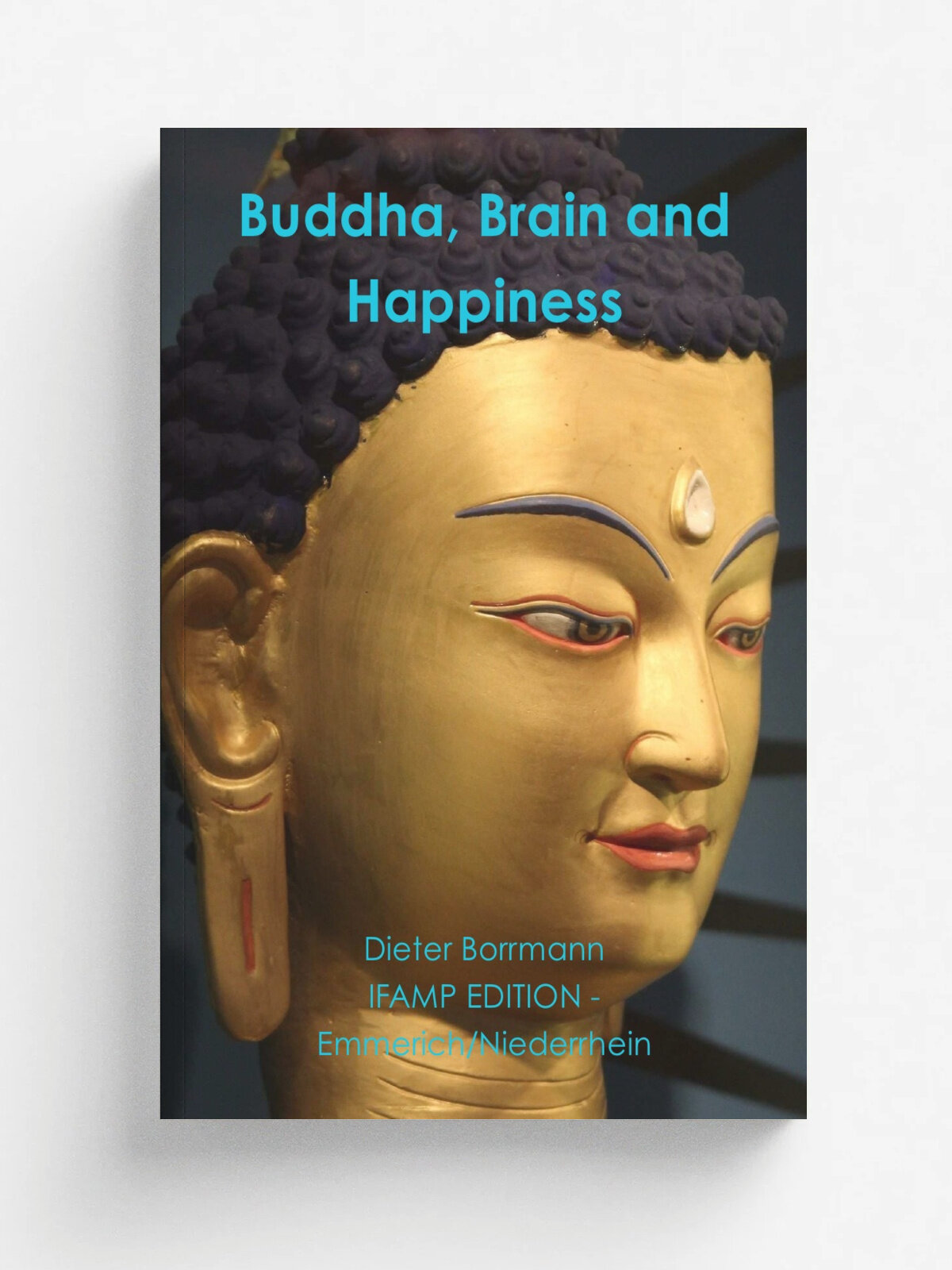 Buddha, Brain and Happiness