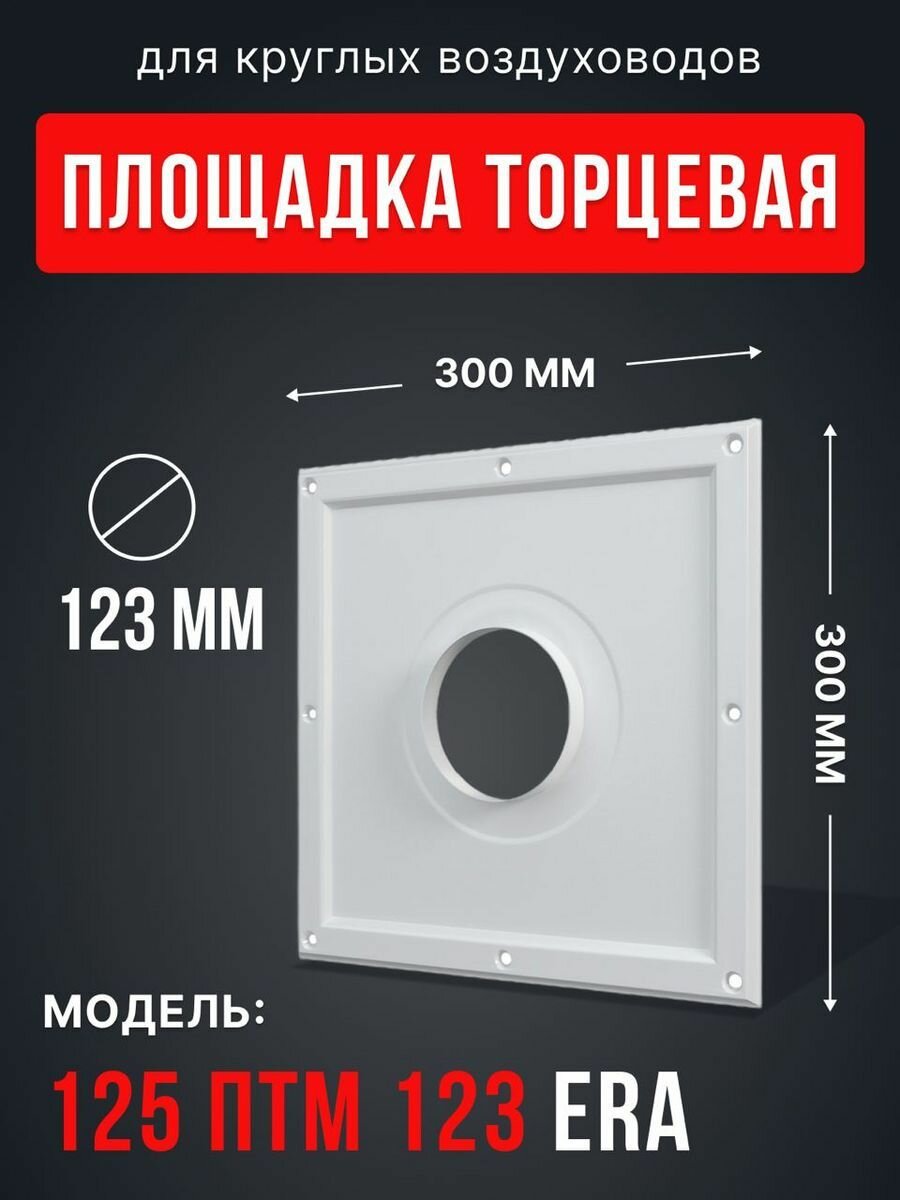 Площадка торцевая ПТМ (30х30) фланец D125 300х300 окраш. сталь ERA
