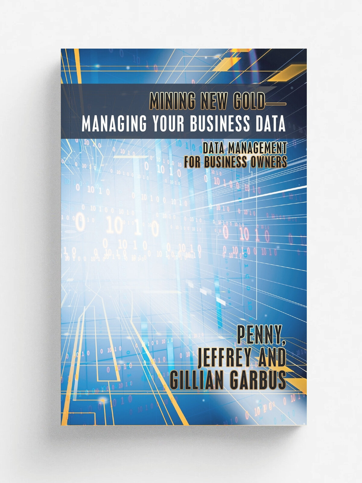 Mining New Gold-Managing Your Business Data. Data Management for Business Owners