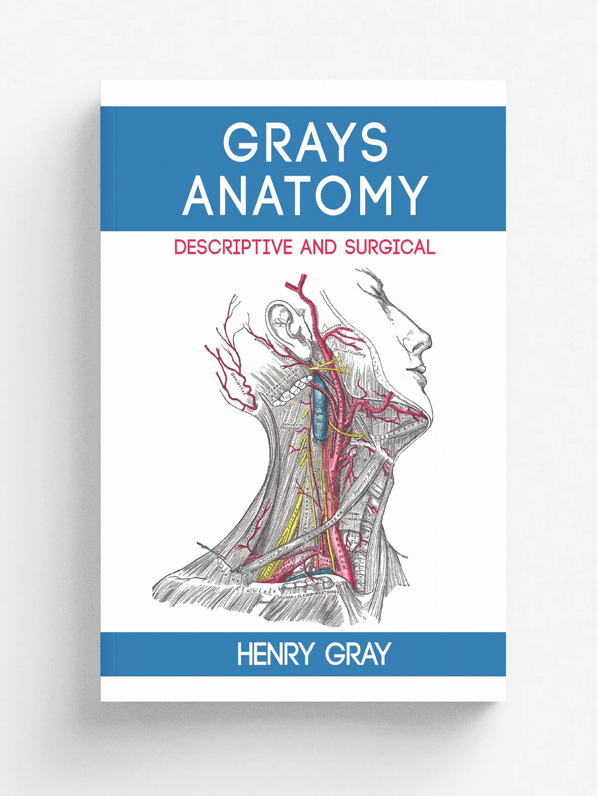 Gray's Anatomy: Descriptive and Surgical