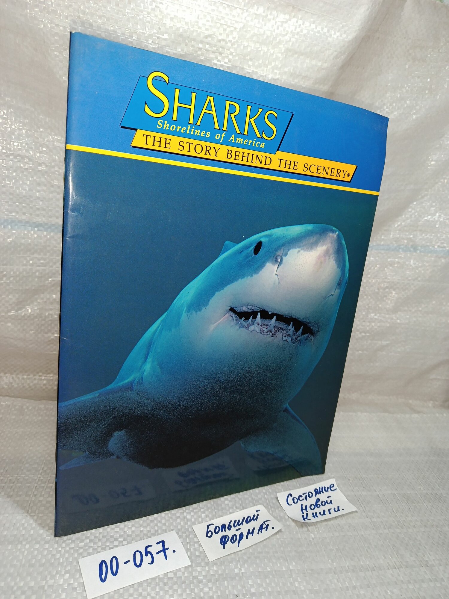 Sharks, Shorelines of America. The story behind the scenery.