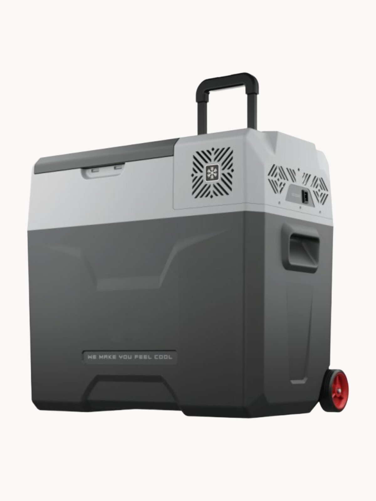 Автомобильный холодильник Alpicool CX50 (12/24)