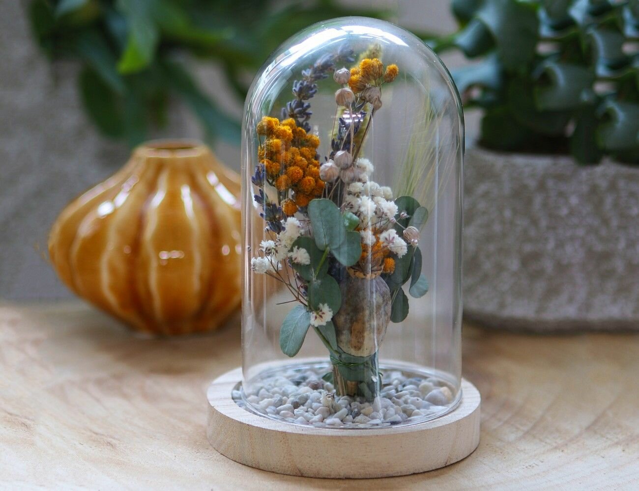 Стеклянный клош для декоративных композиций красота В деталях, 16 см, 4 SEASONS 29423